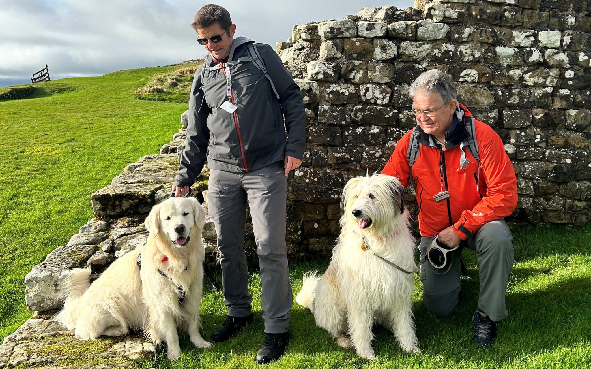 Dog- Friendly Days Out in Hadrian’s Wall County - Hadrian's Wall Country