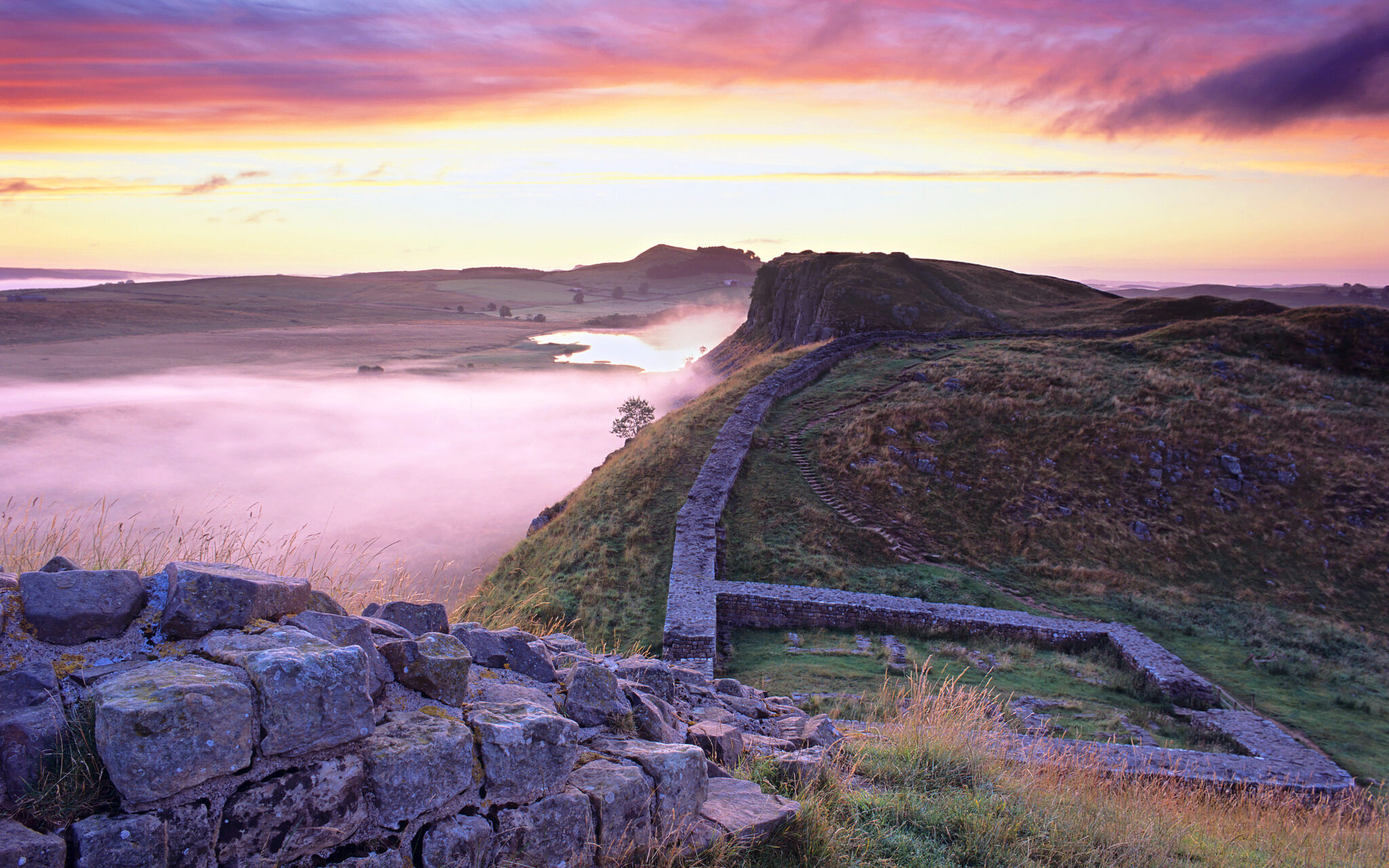 Dog- Friendly Days Out in Hadrian’s Wall County - Hadrian's Wall Country
